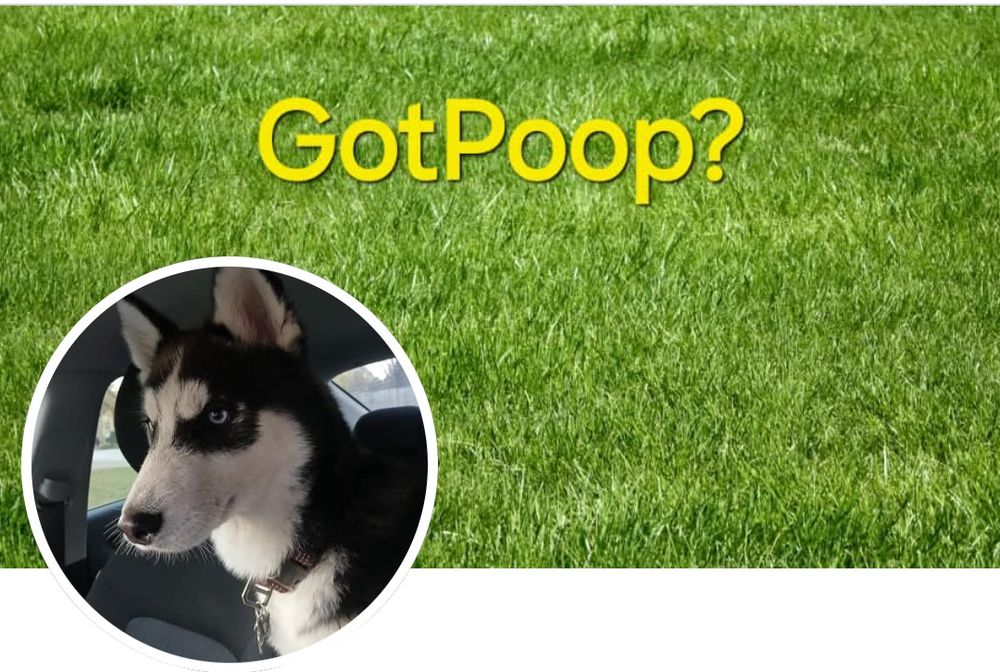 GOT POOP - Updated December 2024 - Request Information - Watauga, Texas ...