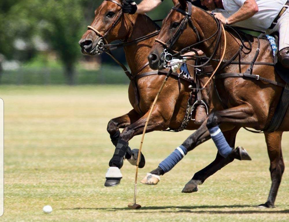 TULSA POLO CLUB MOHAWK PARK - Updated May 2026 - 5701 E 36th St N ...