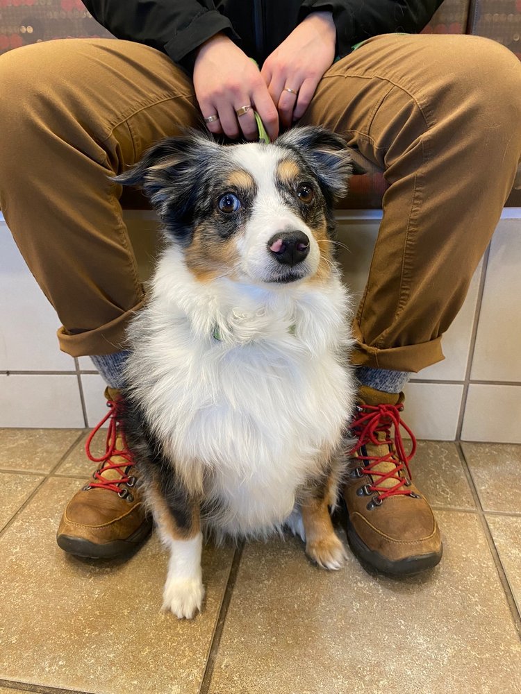 FRONTIER VETERINARY HOSPITAL - Updated September 2024 - 52 Photos & 98 ...