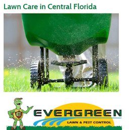 Evergreen Lawn & Pest Control Reviews | Read Customer Service Reviews ...