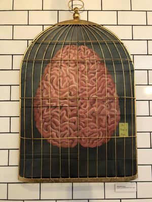 RED EYE CAFE - 658 Photos & 721 Reviews - 94 Walnut St, Montclair, New ...