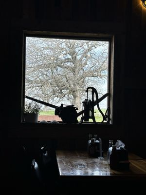 OSCAR STORE - Updated April 2025 - 146 Photos & 188 Reviews - 8133 ...