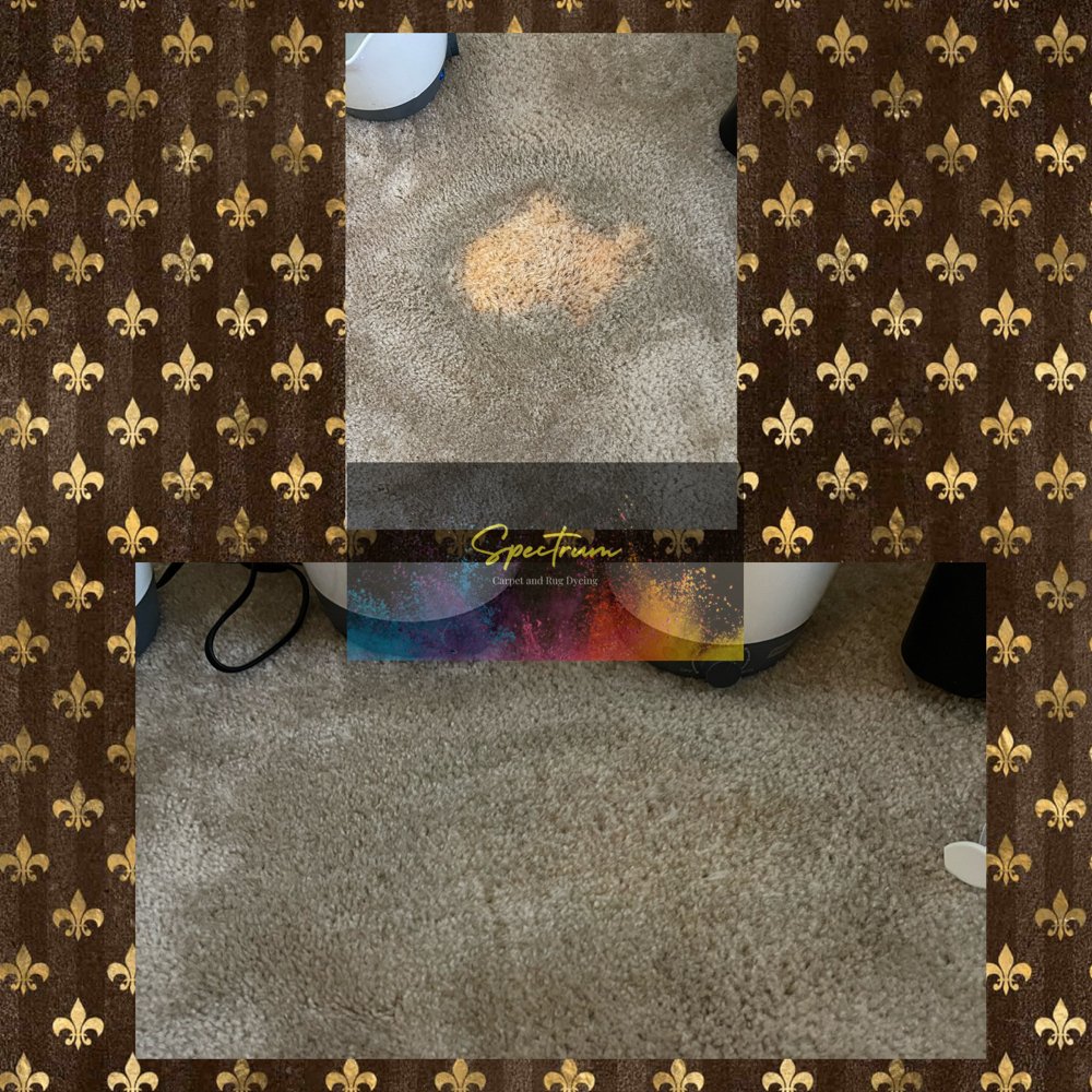 SPECTRUM CARPET AND RUG DYEING - Updated August 2025 - 14 Photos - 9559 ...