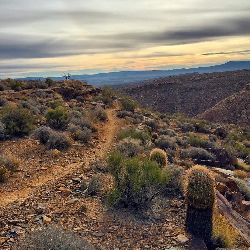 HANGAR 15 BICYCLES - MILLCREEK - Updated November 2025 - 24 Reviews ...