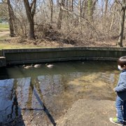 VALLEY STREAM STATE PARK - 108 Photos & 24 Reviews - Valley Stream ...