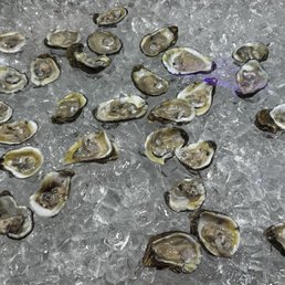 GOHAN BUFFET - Updated December 2025 - 647 Photos & 165 Reviews - 2205 ...