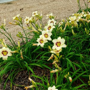 THE BALLPARK AT LEAGUE CITY - Updated July 2025 - 1150 Ballpark Way ...