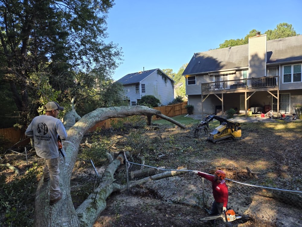 RTS TREE SERVICES - Updated July 2025 - Request a Quote - 44 Photos ...