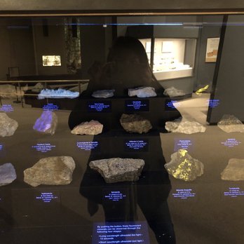 New York State Museum - 437 Photos & 87 Reviews - Museums - 260 Madison ...