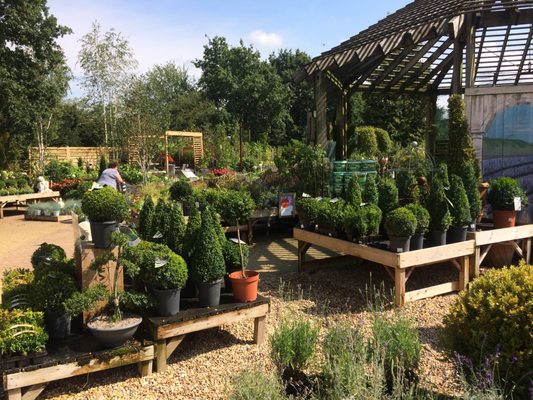 NOTCUTTS GARDEN CENTRE - Updated October 2025 - Common Lane, Ditchling ...