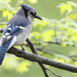 DOMAINE CHARTRAND CAMPING - Updated August 2025 - 2775 Chartrand Street ...