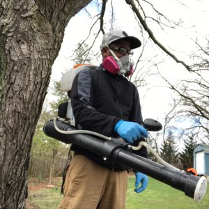 ARTERIX PEST CONTROL - Updated April 2025 - 33 Photos & 203 Reviews ...