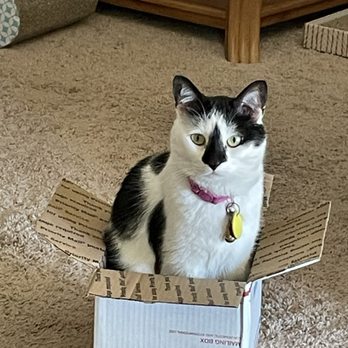 HALO ANIMAL RESCUE - Updated August 2025 - 97 Photos & 173 Reviews ...