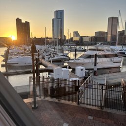 Photos of RUSTY SCUPPER - Updated August 2024 - 1668 Photos & 1333 ...