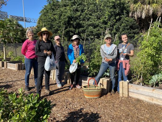 DAYSTAR LIFE CENTER - Updated September 2025 - 25 Photos - 1055 28th St ...