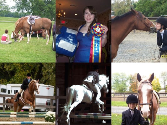 FOX RIDGE FARM - Updated August 2025 - 10 Photos - 511 County Rt 515 ...