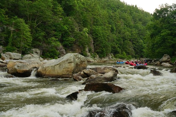 USA RAFT FRENCH BROAD RIVER - Updated July 2024 - 18 Photos - 13490 US ...