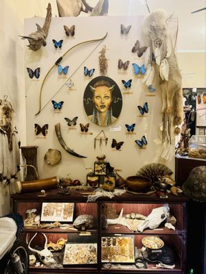 THE INSECT ASYLUM - Updated December 2025 - 65 Photos & 15 Reviews ...