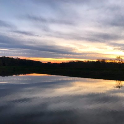 AUGUST A. BUSCH MEMORIAL CONSERVATION AREA - Updated April 2024 - 47 ...