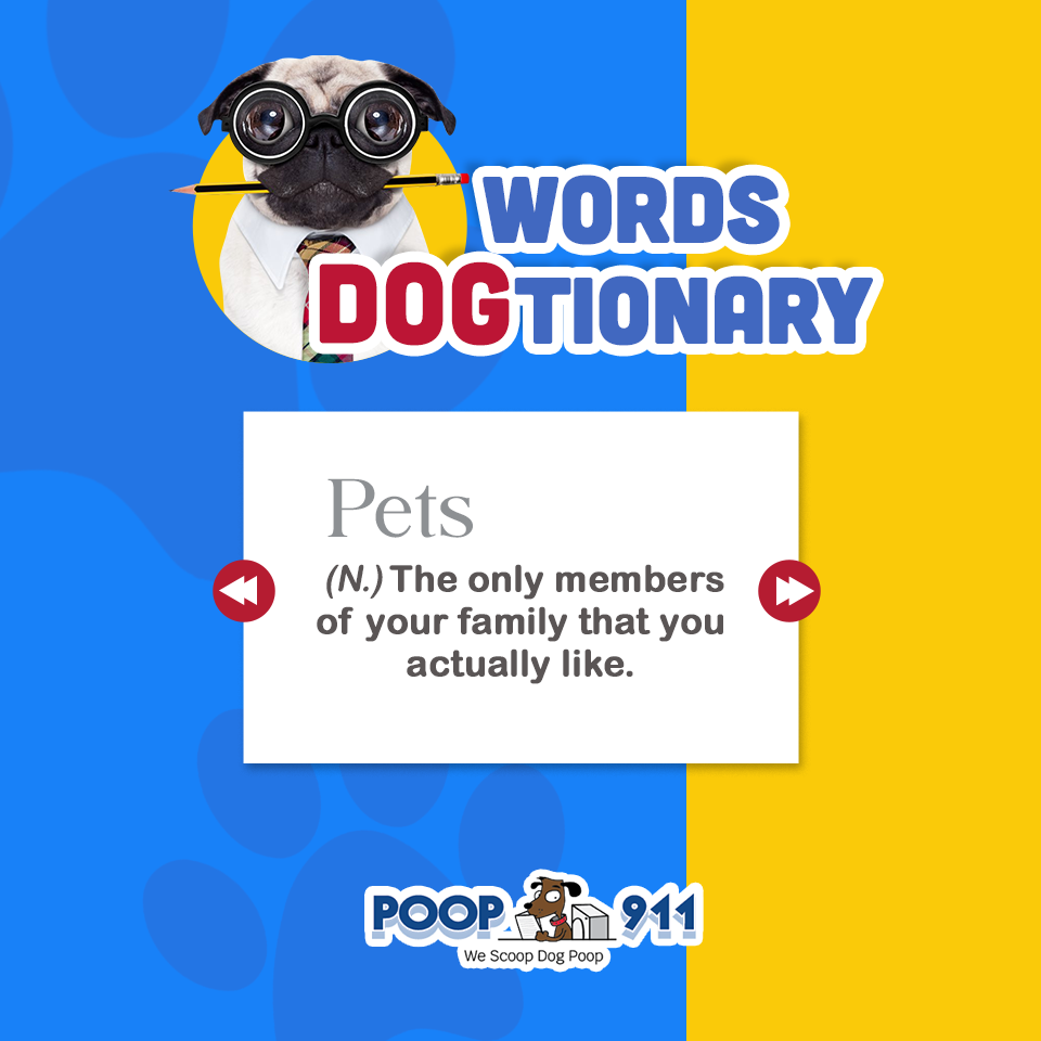 POOP 911 GLENDALE - Updated September 2024 - 10 Photos - Phoenix ...