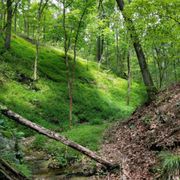 GREEN RIDGE STATE FOREST - 115 Photos & 16 Reviews - 28700 Headquarters ...