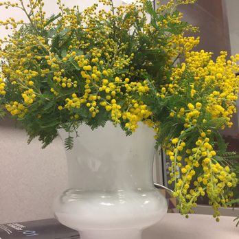 DESIGN N BLOOM - Updated July 2025 - 48 Photos & 39 Reviews - 4157 ...