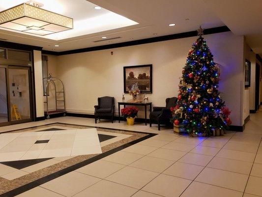 HOMEWOOD SUITES BY HILTON TORONTO AIRPORT CORPORATE CENTRE - 176 Photos ...