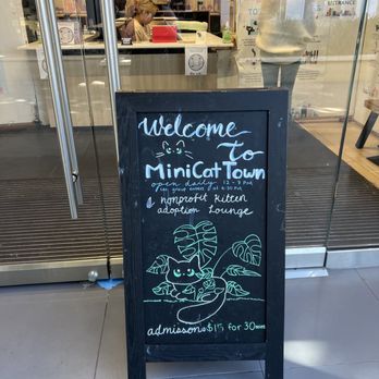 MINI CAT TOWN - Updated March 2025 - 266 Photos & 127 Reviews - 2200 ...