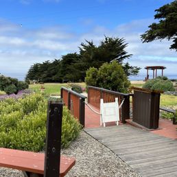 RAGGED POINT RESTAURANT - Updated June 2025 - 334 Photos & 296 Reviews ...