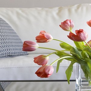 CHADWICK MANOR TOWNHOMES - Updated March 2025 - 37 Photos - 1 Rand Ct ...