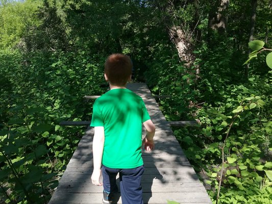 COMO LAKE PARK - 51 Photos & 18 Reviews - Parks - 2220 Como Park Blvd ...