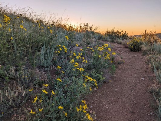 MT. GALBRAITH PARK - Updated December 2025 - 140 Photos & 27 Reviews ...