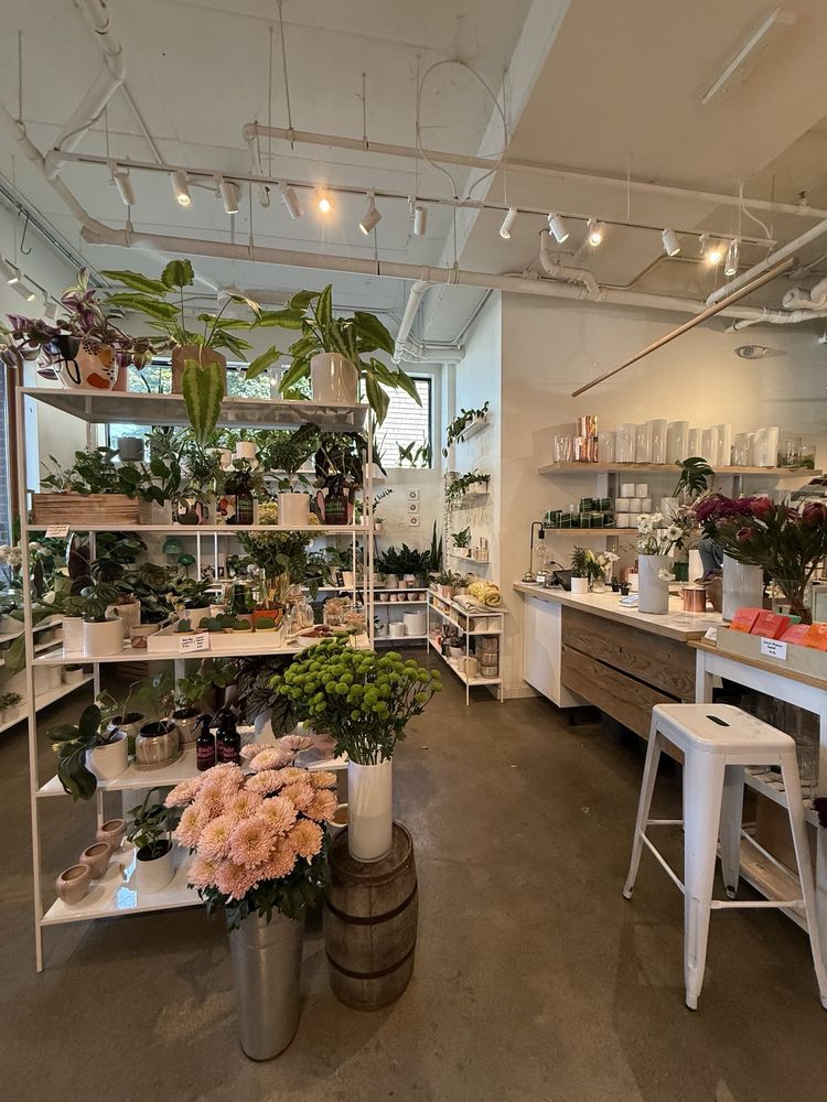 CEDARHOUSE FLOWERS - Updated May 2026 - 51 Photos & 42 Reviews - 1621 N ...
