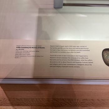 RISD MUSEUM - Updated May 2025 - 631 Photos & 179 Reviews - 20 N Main ...