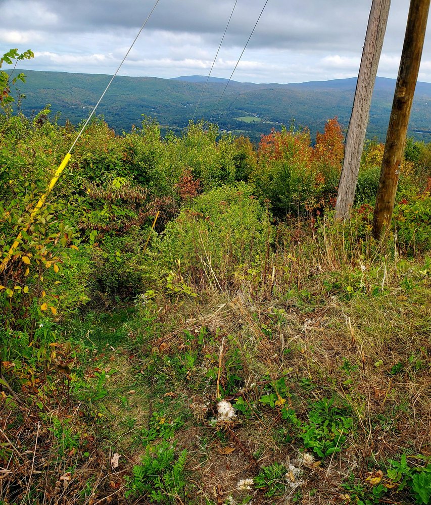 MOHAWK TRAIL - Updated August 2025 - 12 Photos - Route 2 And 2A, Adams ...