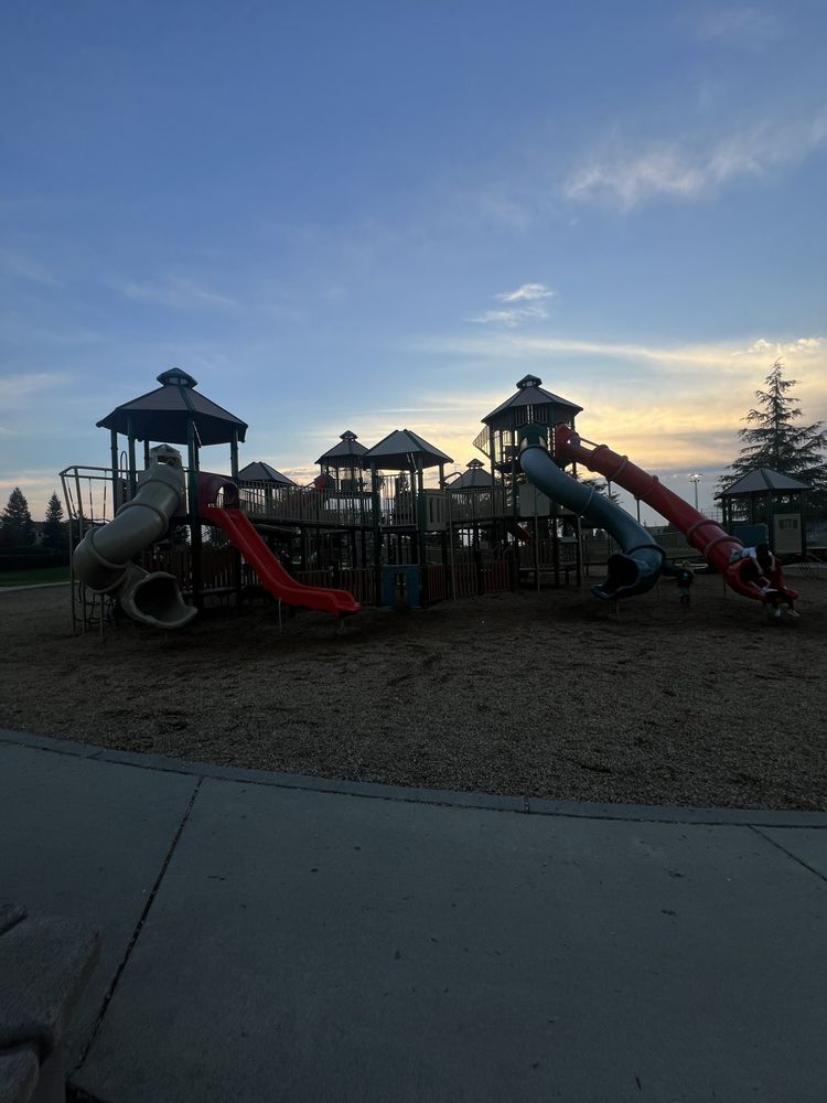 WHITNEY COMMUNITY PARK - Updated July 2025 - 13 Photos - 1801 Whitney ...