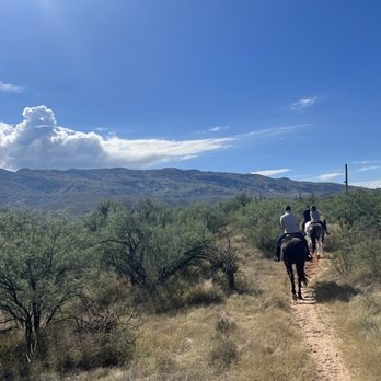 HOUSTON’S HORSEBACK RIDING - Updated December 2025 - 80 Photos & 50 ...