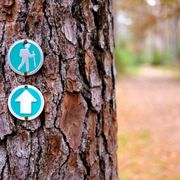 WILLIAM GOODRICH JONES STATE FOREST - 34 Photos & 15 Reviews UPDATED ...