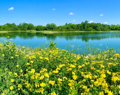 AUGUST A. BUSCH MEMORIAL CONSERVATION AREA - Updated June 2025 - 47 ...