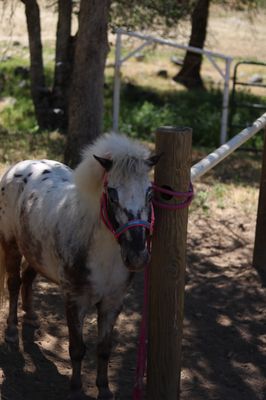 RIATA RANCH INTERNATIONAL - Updated March 2025 - 63 Photos & 12 Reviews ...