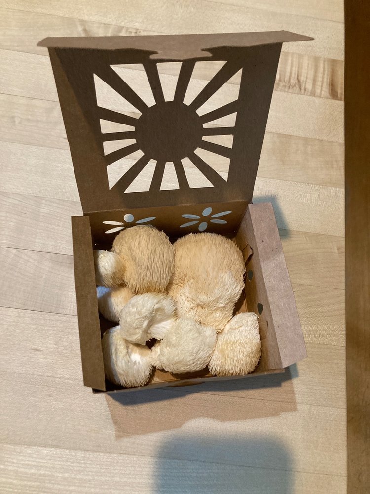 TRIPPING GNOME FARM - Updated August 2025 - 64 Lupine Ln, Freeport ...