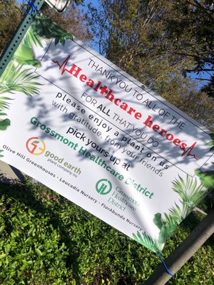 GOOD EARTH PLANT COMPANY - Updated January 2026 - 12 Photos & 21 ...