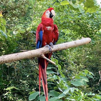 MESKER PARK ZOO & BOTANIC GARDEN - Updated October 2025 - 255 Photos & 43 Reviews - 1545 Mesker ...