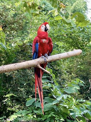 MESKER PARK ZOO & BOTANIC GARDEN - Updated October 2025 - 255 Photos & 43 Reviews - 1545 Mesker ...