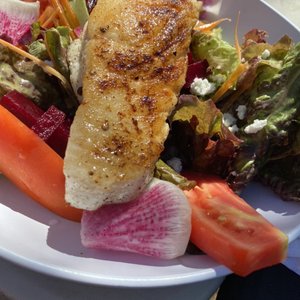 BUCK BAY SHELLFISH FARM - 285 Photos & 166 Reviews - 117 Ej Young Rd ...