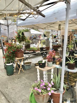 BUSHWICK MARKET - 40 Photos - 54 Wyckoff Ave, Brooklyn, NY - Yelp