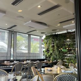 OSPI BRENTWOOD - Updated December 2025 - 201 Photos & 101 Reviews ...