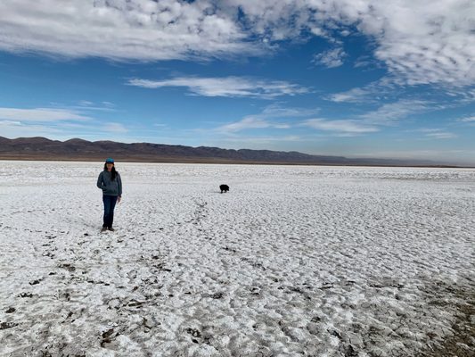 SODA LAKE OVERLOOK AND BOARDWALK - 68 Photos - Soda Lake Rd, Santa ...