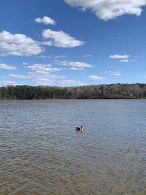 LAKE WHEELER PARK - Updated September 2025 - 74 Photos & 18 Reviews ...