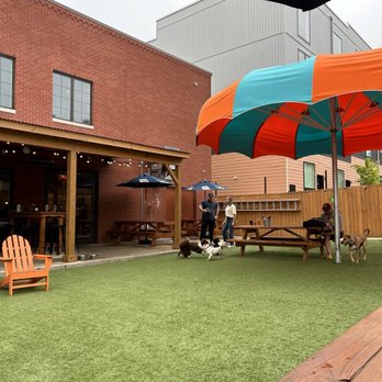 THE BOOZY MUTT - Updated June 2025 - 89 Photos & 25 Reviews - 2639 ...